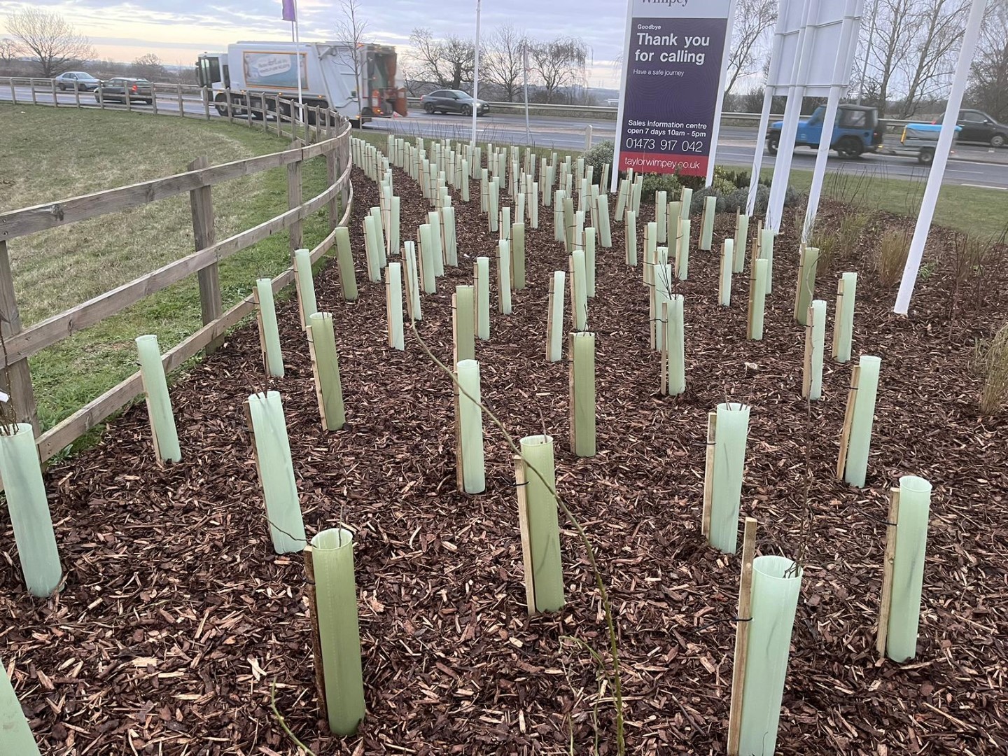 Green-tech supply materials for tree planting around a new Wimpey ...